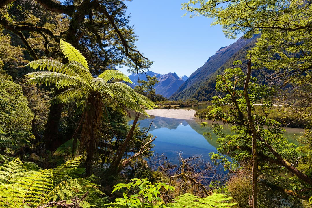 Best Time to Travel Australia and New Zealand | Guest New Zealand