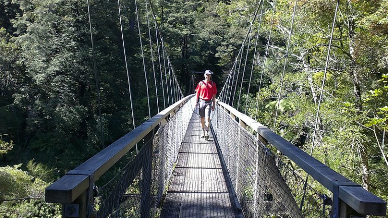 Pelorus Bridge Scenic Reserve - Guest New Zealand