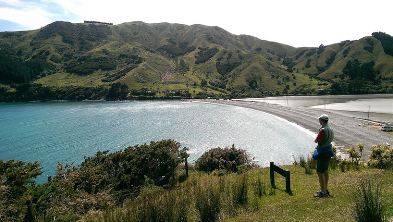 Cable Bay scenery - Guest New Zealand