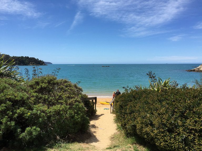 Best things to do in Nelson - Guest New Zealand